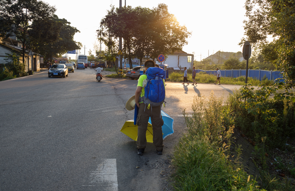 Trafficsign Yolov5 Object Detection Dataset By University Of Malaya