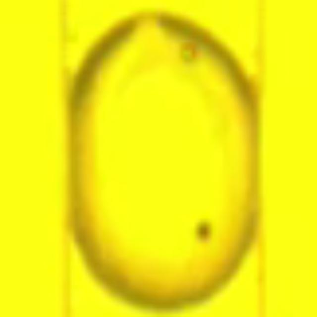 Segment_Droplet_Microplastics Instance Segmentation Dataset by Mems