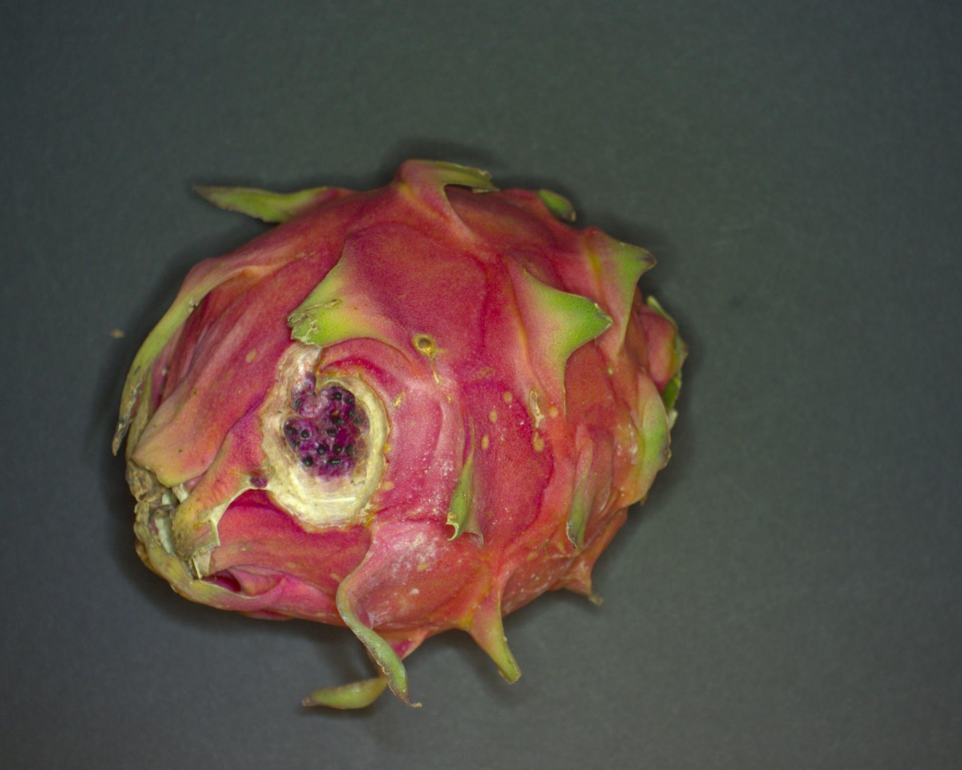 Dragon Fruit Object Detection Dataset By Dragon Fruit