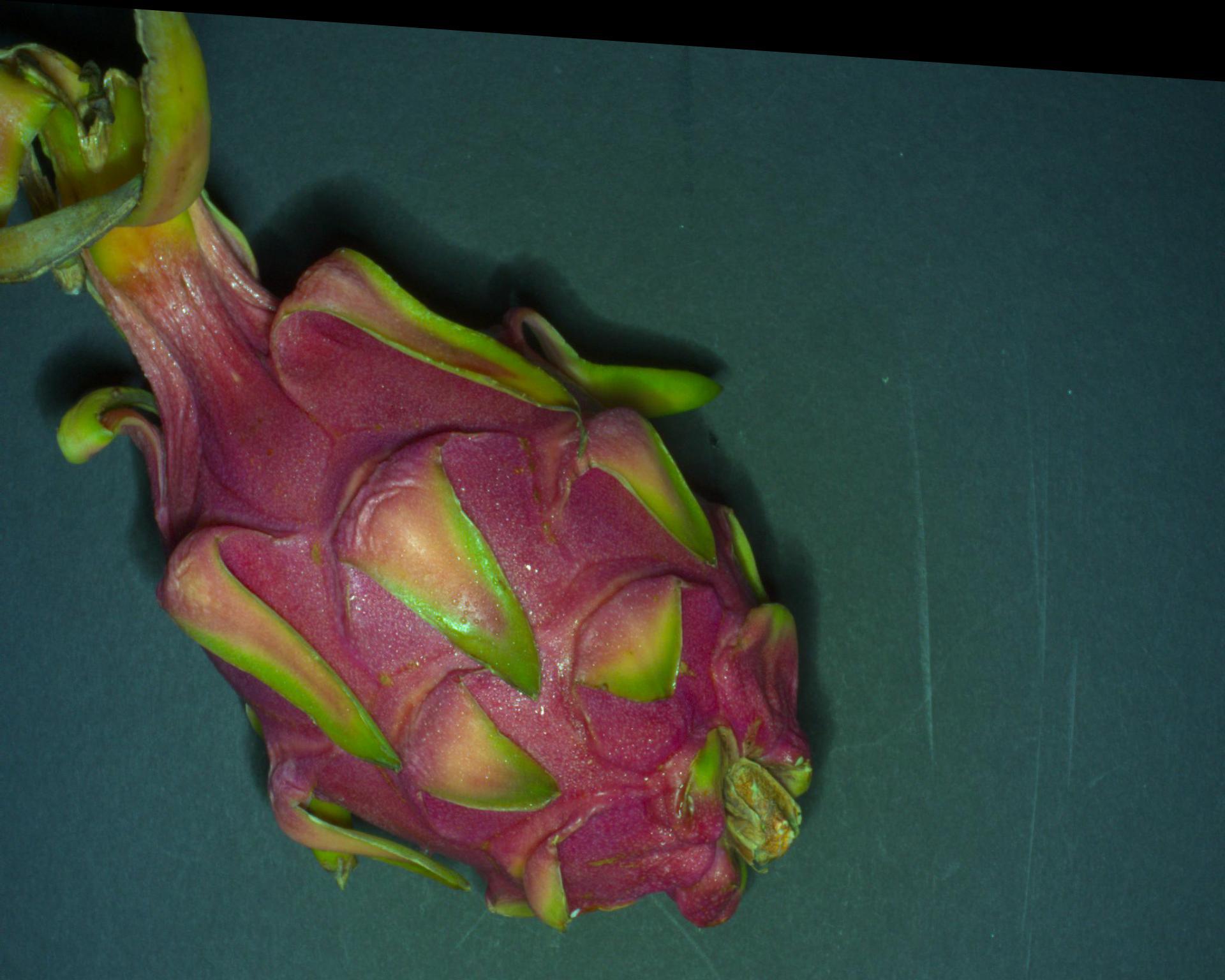 Good3 Object Detection Dataset By Dragon Fruit