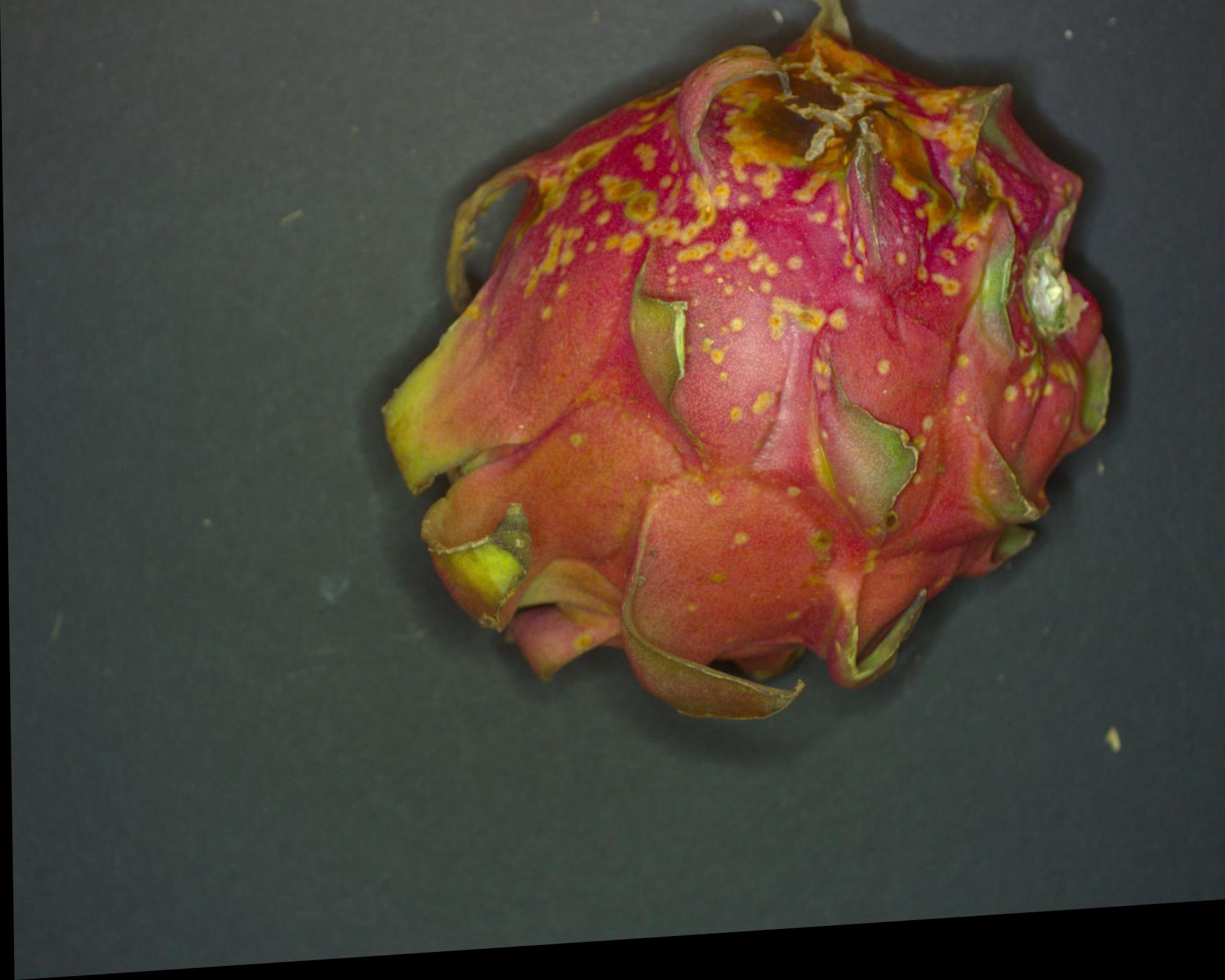 Cracked 2 Object Detection Dataset By Dragon Fruit