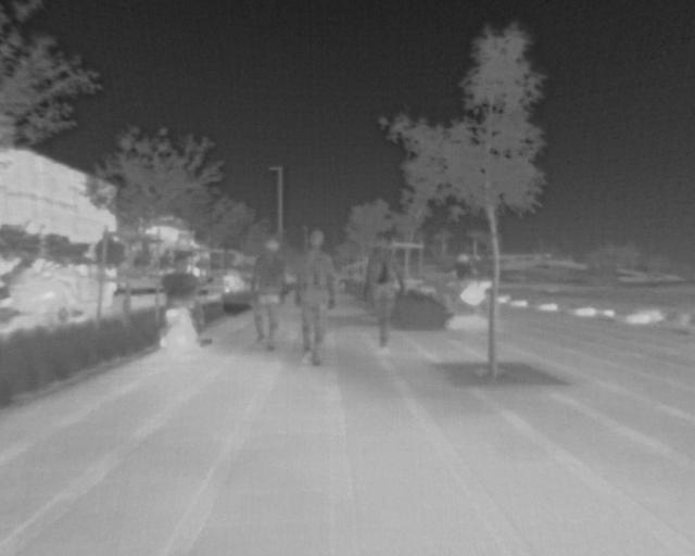 How to Use the TII challenge - Infrared images Object Detection API