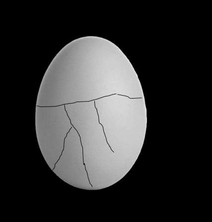 Egg Crack Detection Object Detection Dataset by 360digitmg