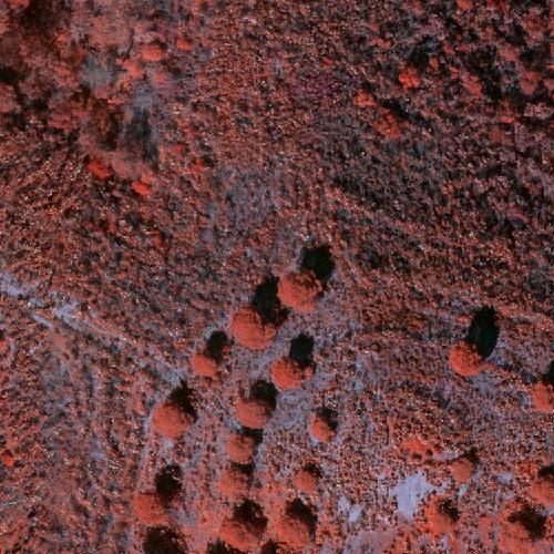 Trees Object Detection Dataset By Carlos Lvaro 3829
