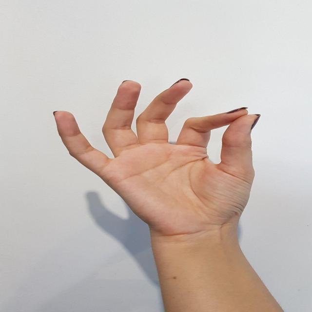 Hand Detection Object Detection Dataset and Pre-Trained Model by Faizan