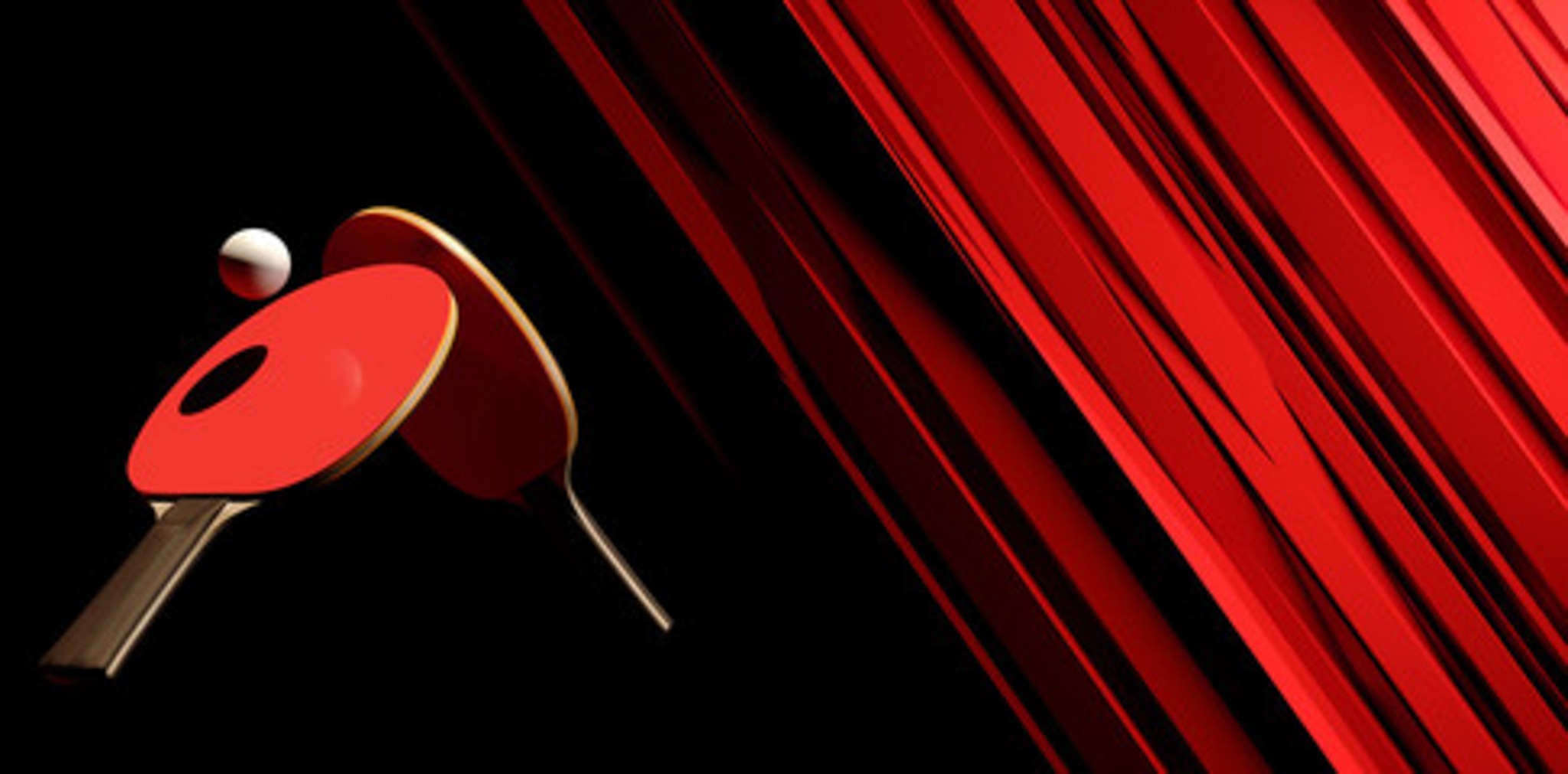 Table Tennis Ball Model Object Detection Dataset By Bsl