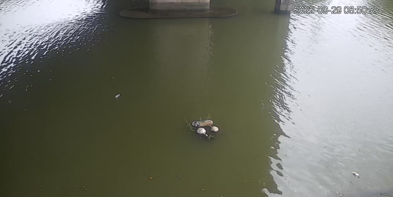 Floating_o_d Object Detection Dataset and Pre-Trained Model by practice