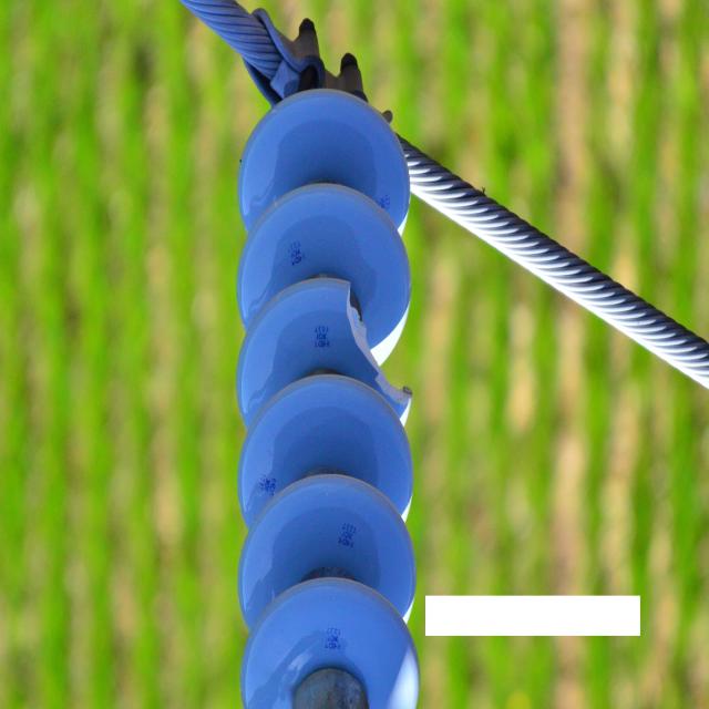 fault-insulator Object Detection Dataset and Pre-Trained Model by mvgr