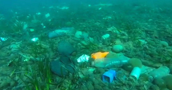 Trash E Object Detection Dataset By Underwater Trash Detection