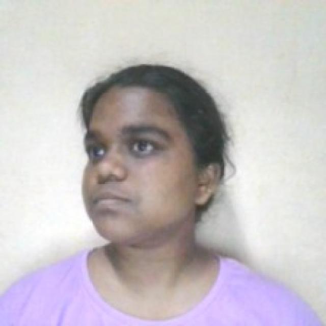 DD Object Detection Dataset by THE TRIO