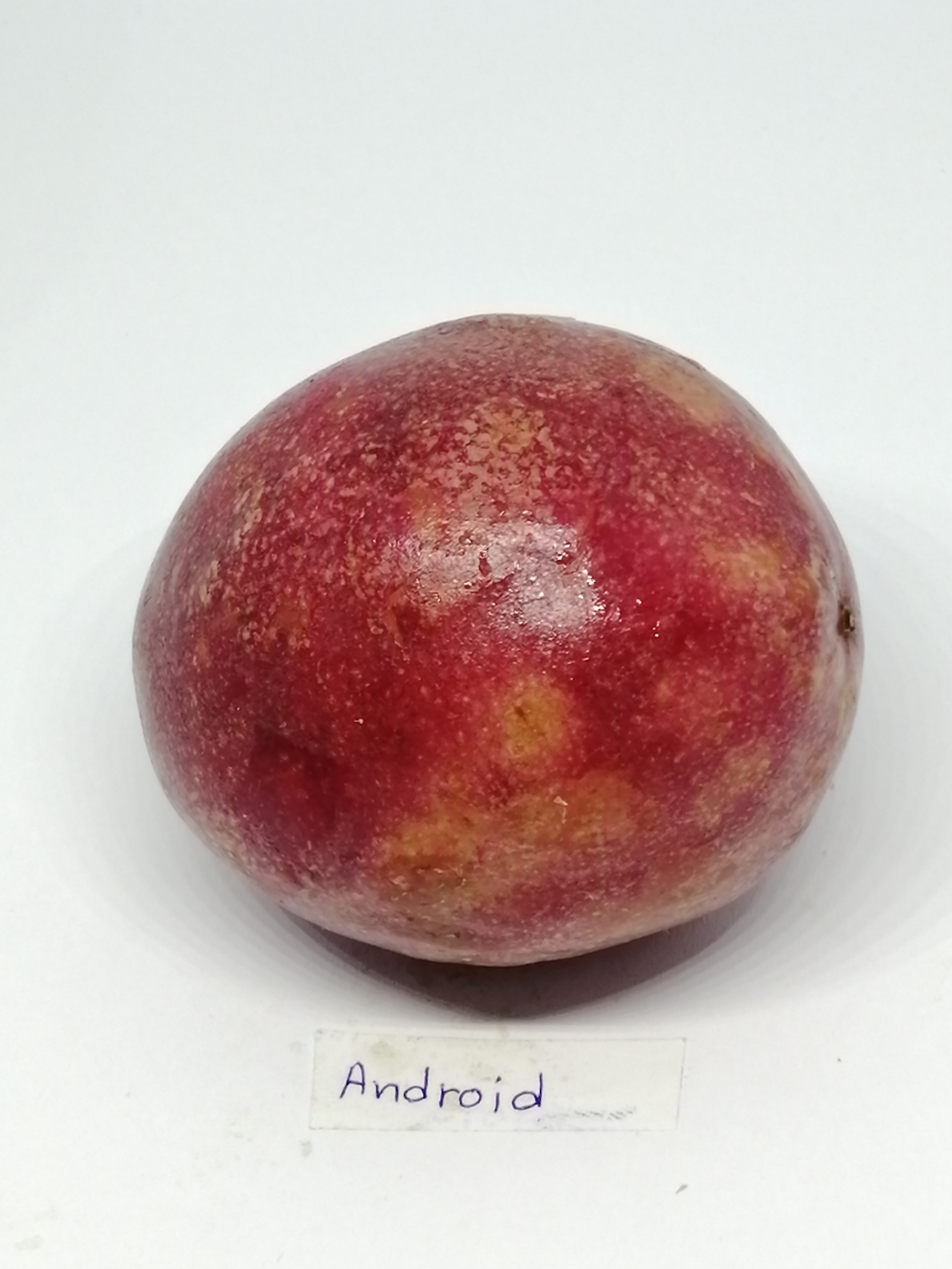 Passion fruit manual Object Detection Dataset and Pre-Trained Model by Fruit Detection