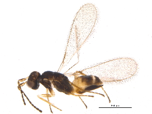 Top 020 Datasets and Models | Roboflow Universe