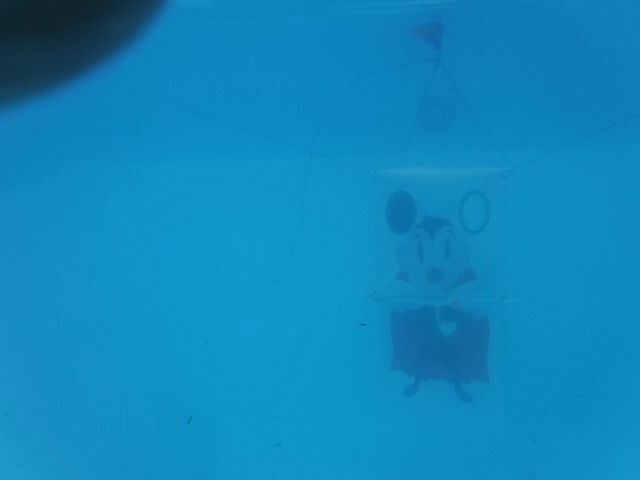 Auv Additional Dataset Object Detection Dataset By Auv Training Datasets