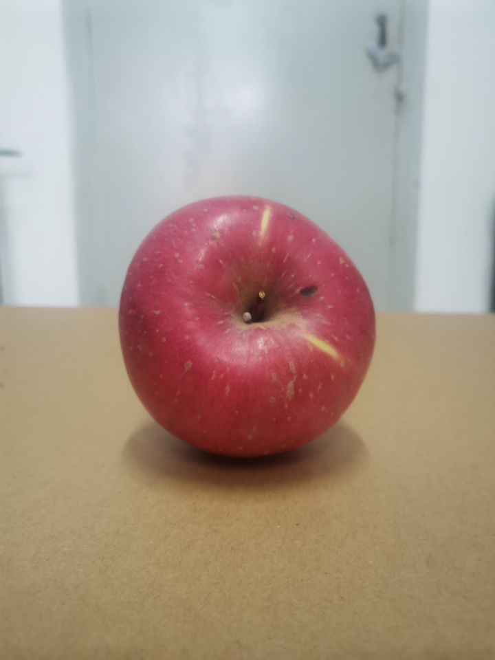 apple Object Detection Dataset by Course Design