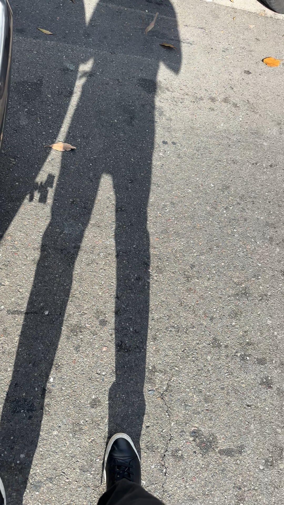 Litterbug 2 Object Detection Dataset And Pre Trained Model By Litter Bug
