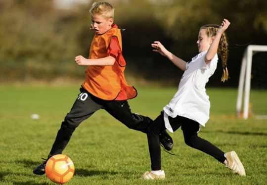 ball-test-project Object Detection Dataset and Pre-Trained Model by testing