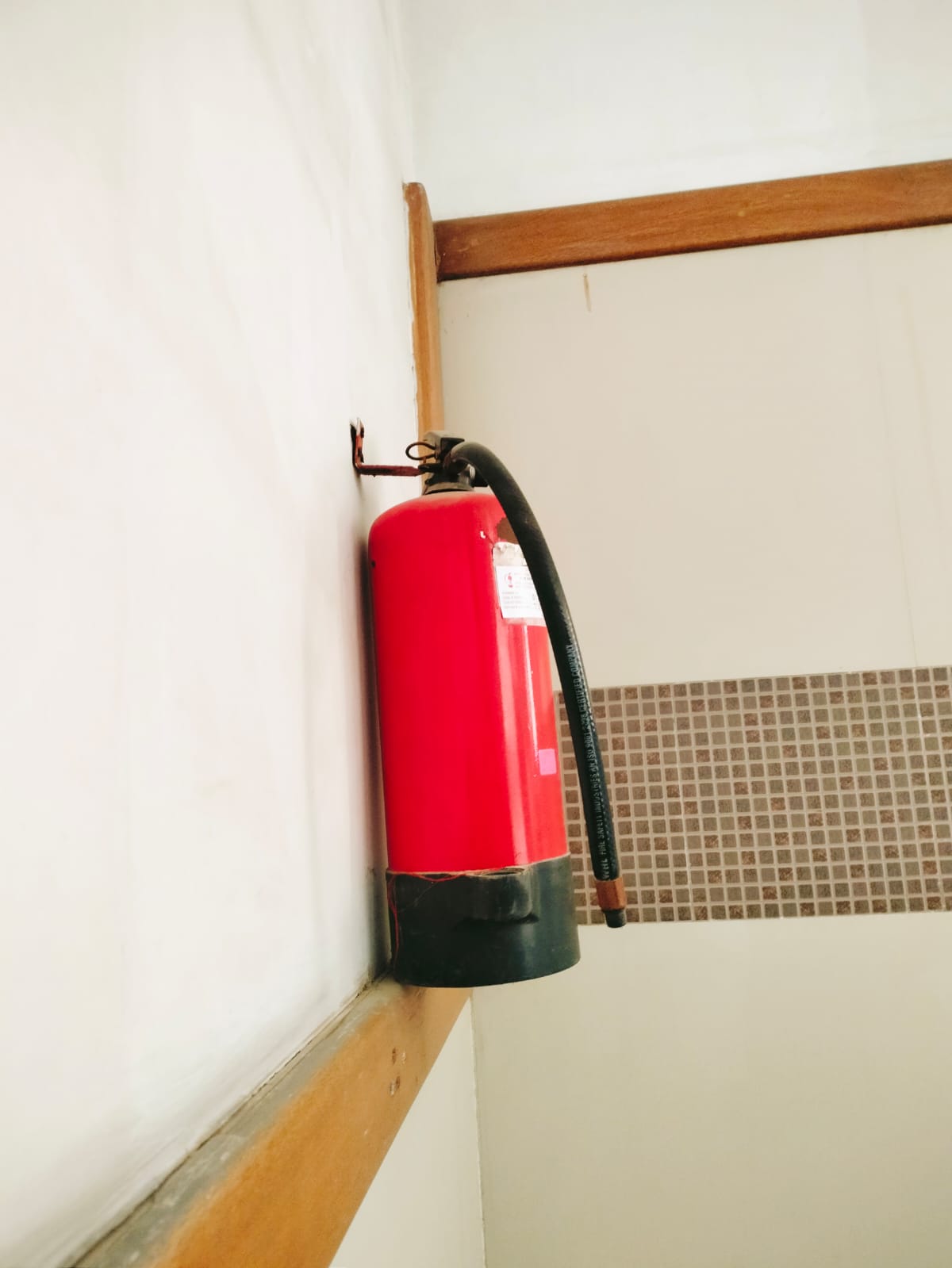 Fire Extinguisher Detector Object Detection Dataset and Pre-Trained Model by Abesit FE