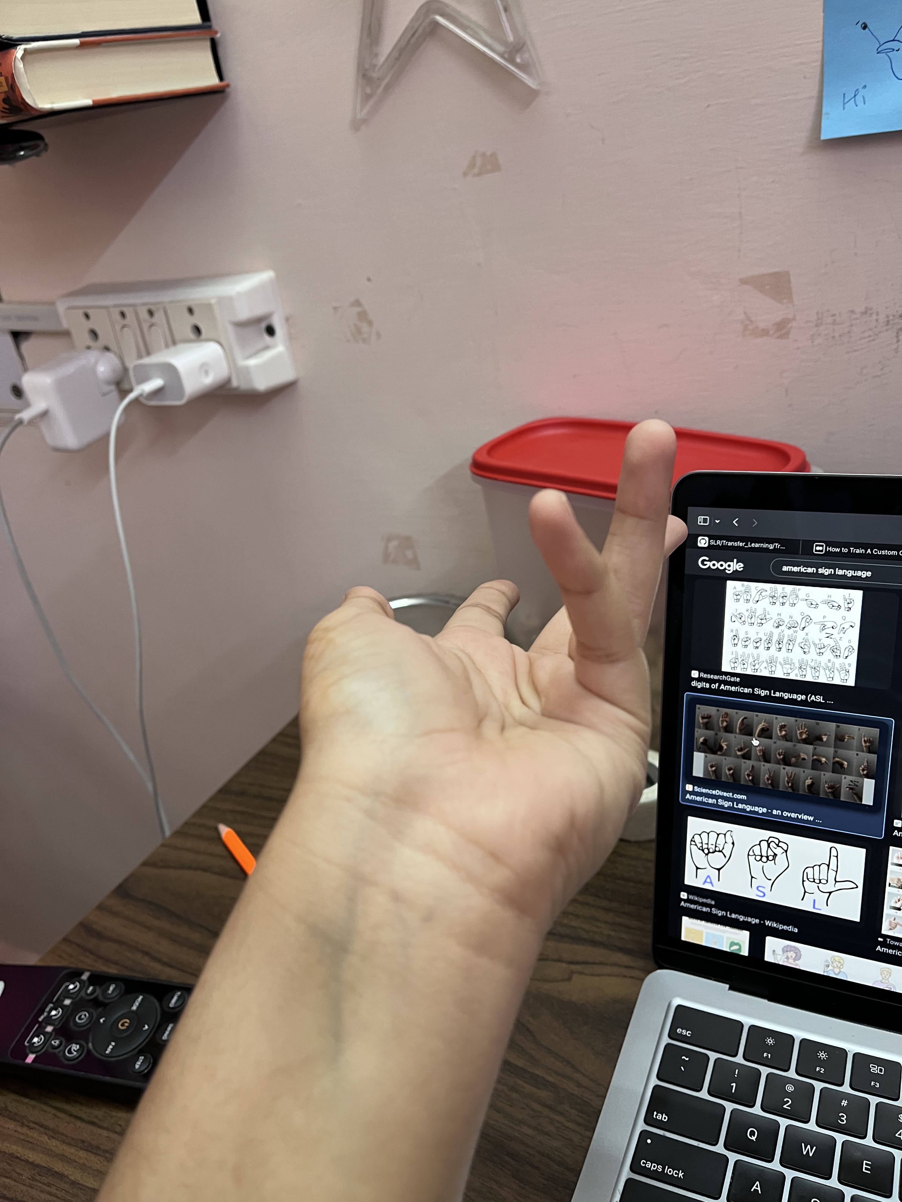 Hand Detection Object Detection Dataset By Pragati Sinha