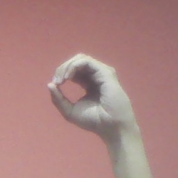 handsign Classification Dataset and Pre-Trained Model by TAT