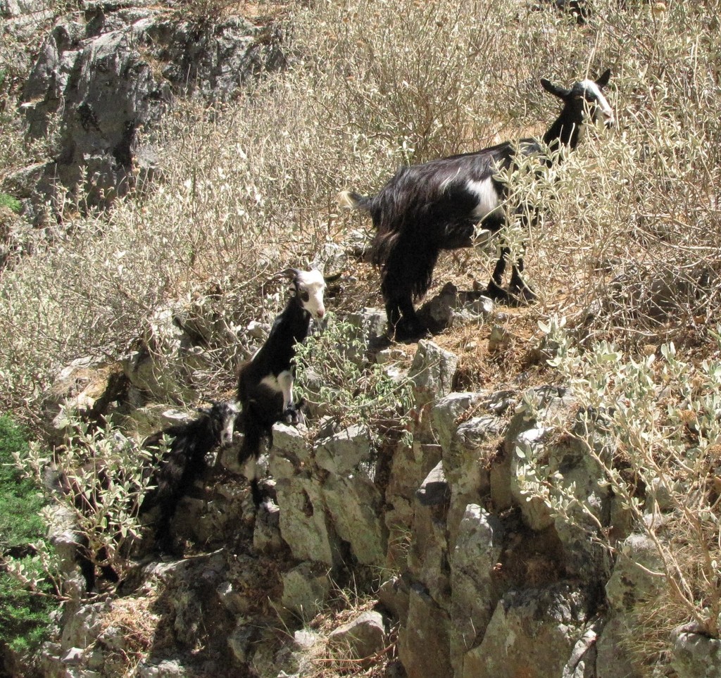 David Casas - Roboflow Universe