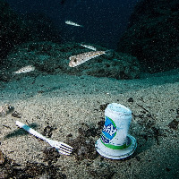 Underwater Trash Detection Object Detection Dataset and Pre-Trained Model by 071bct525prasanga ...