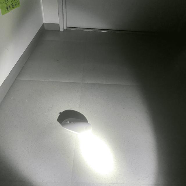 Coco Lighting Valid Object Detection Dataset By Xarm