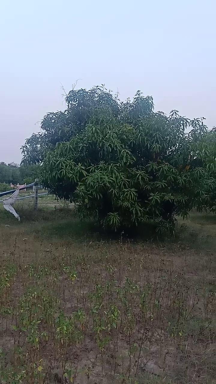 kel 2 bliss - Roboflow Universe