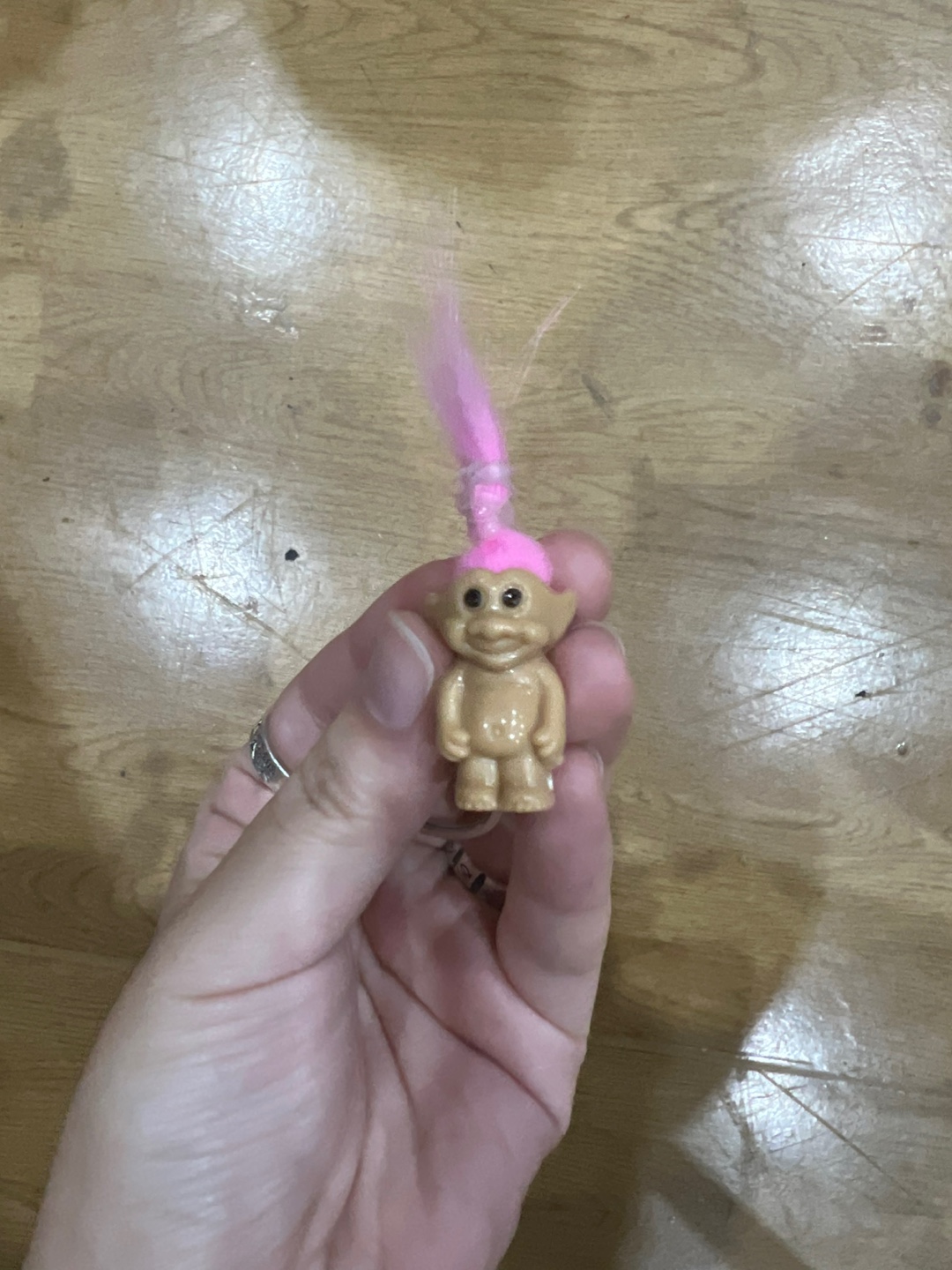 troll Object Detection Dataset and Pre-Trained Model by project-fmltj