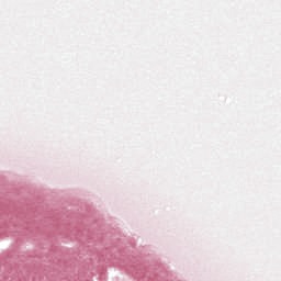 coco-test Computer Vision Dataset by John Moore Liverpool University