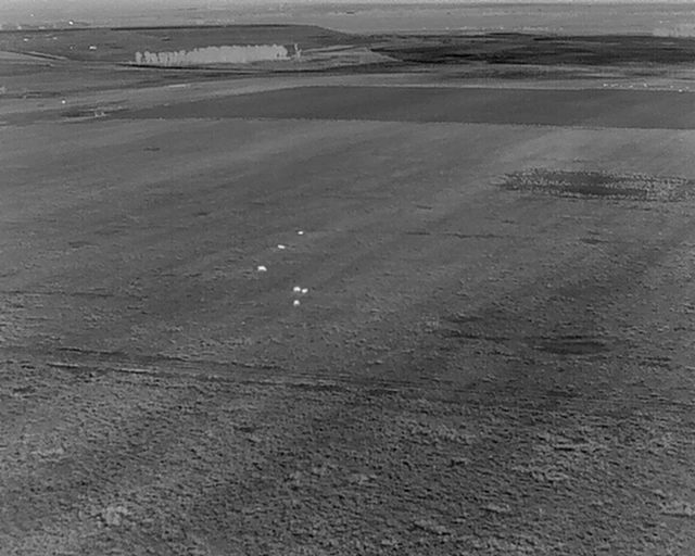 Drone Project Object Detection Dataset By Drone Project