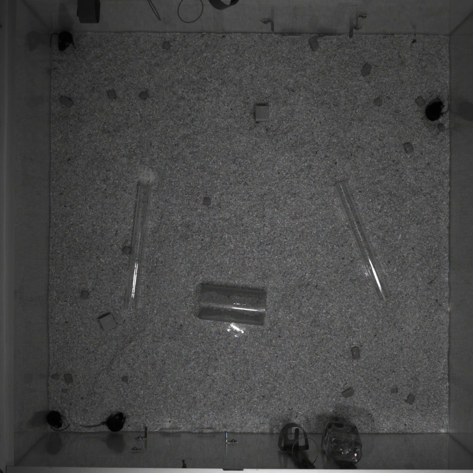 Rat detection Object Detection Dataset and Pre-Trained Model by ... Rat detection Object Detection Dataset and Pre-Trained Model by ...