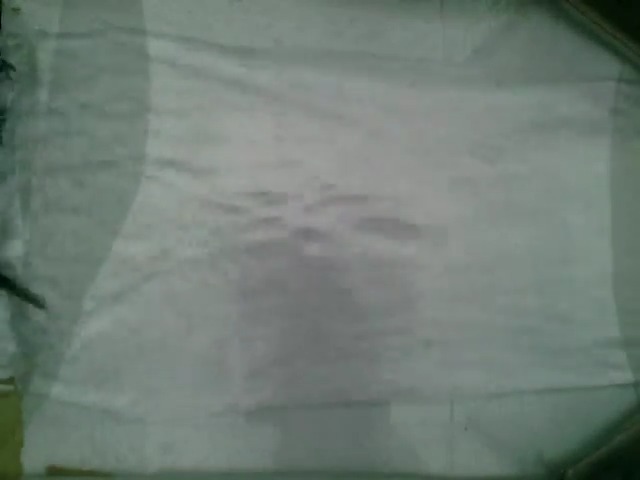 Peces 3 Object Detection Dataset By Peces