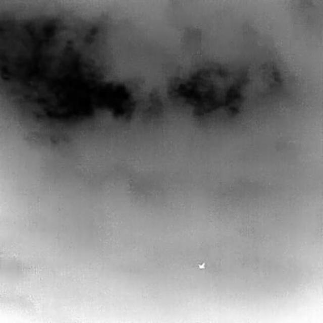 Birds Ir Object Detection Dataset By Maha