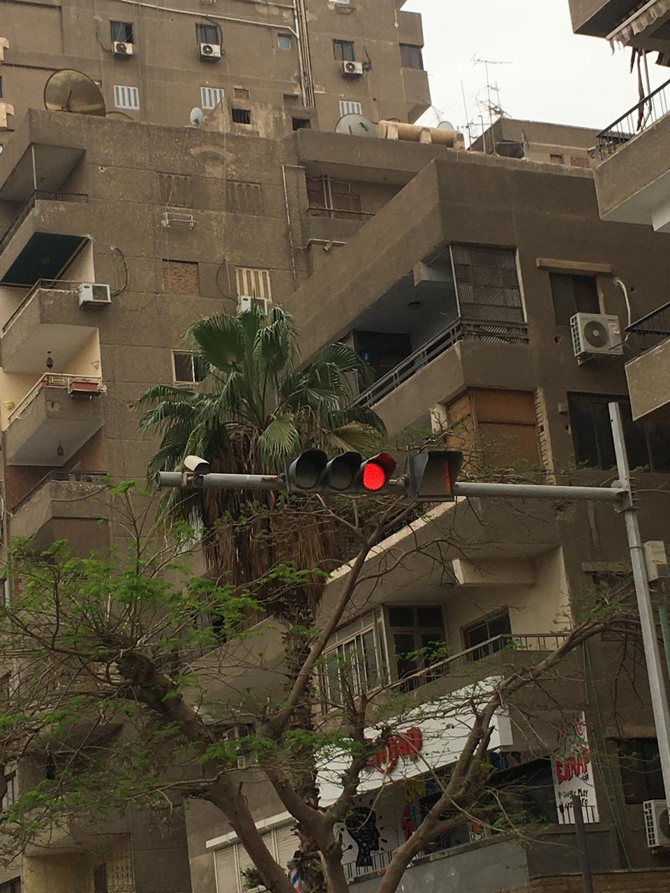 How to Use the tld Object Detection API