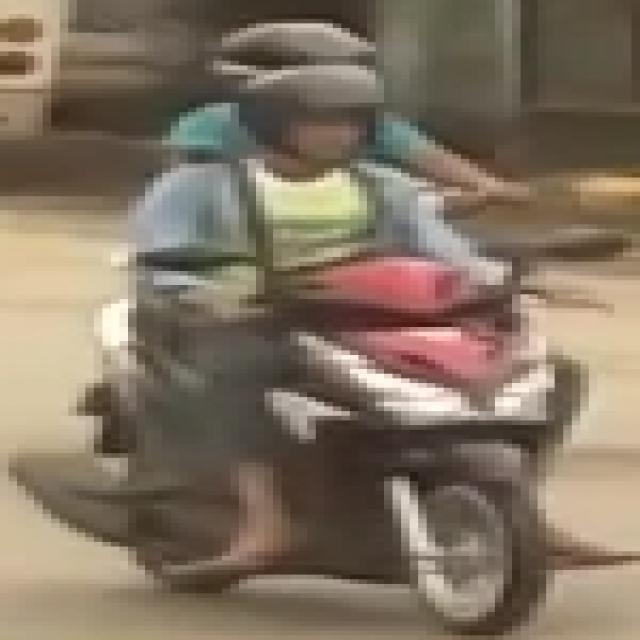 Helmet detection Object Detection Dataset and Pre-Trained Model by Harman