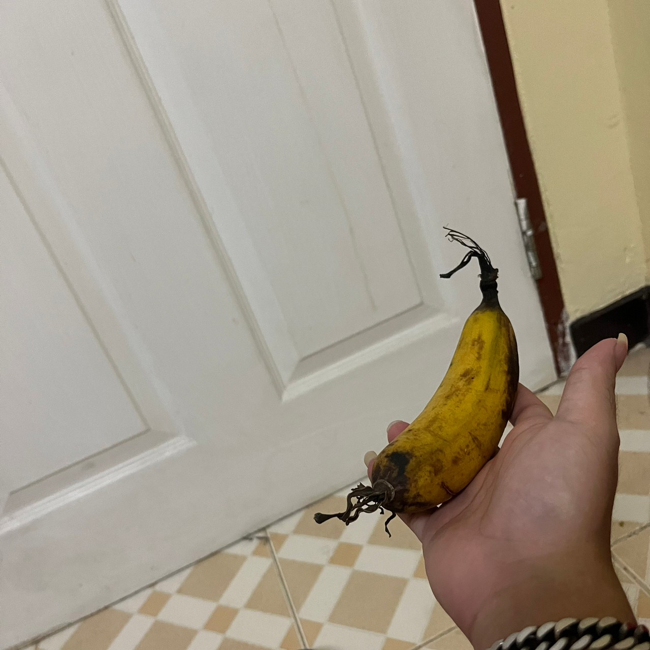 Detection Banana1 Object Detection Dataset By Silpakorn Univercity