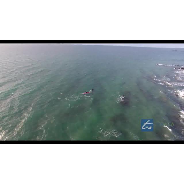 Person Detection In Water Object Detection Dataset And Pre Trained