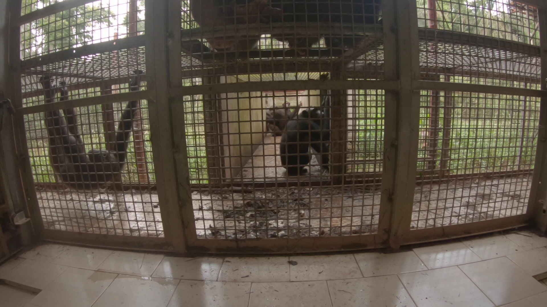 cv val Object Detection Dataset by cvassignment04