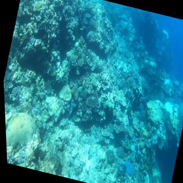 marinelife Object Detection Dataset and Pre-Trained Model by PROJECTS