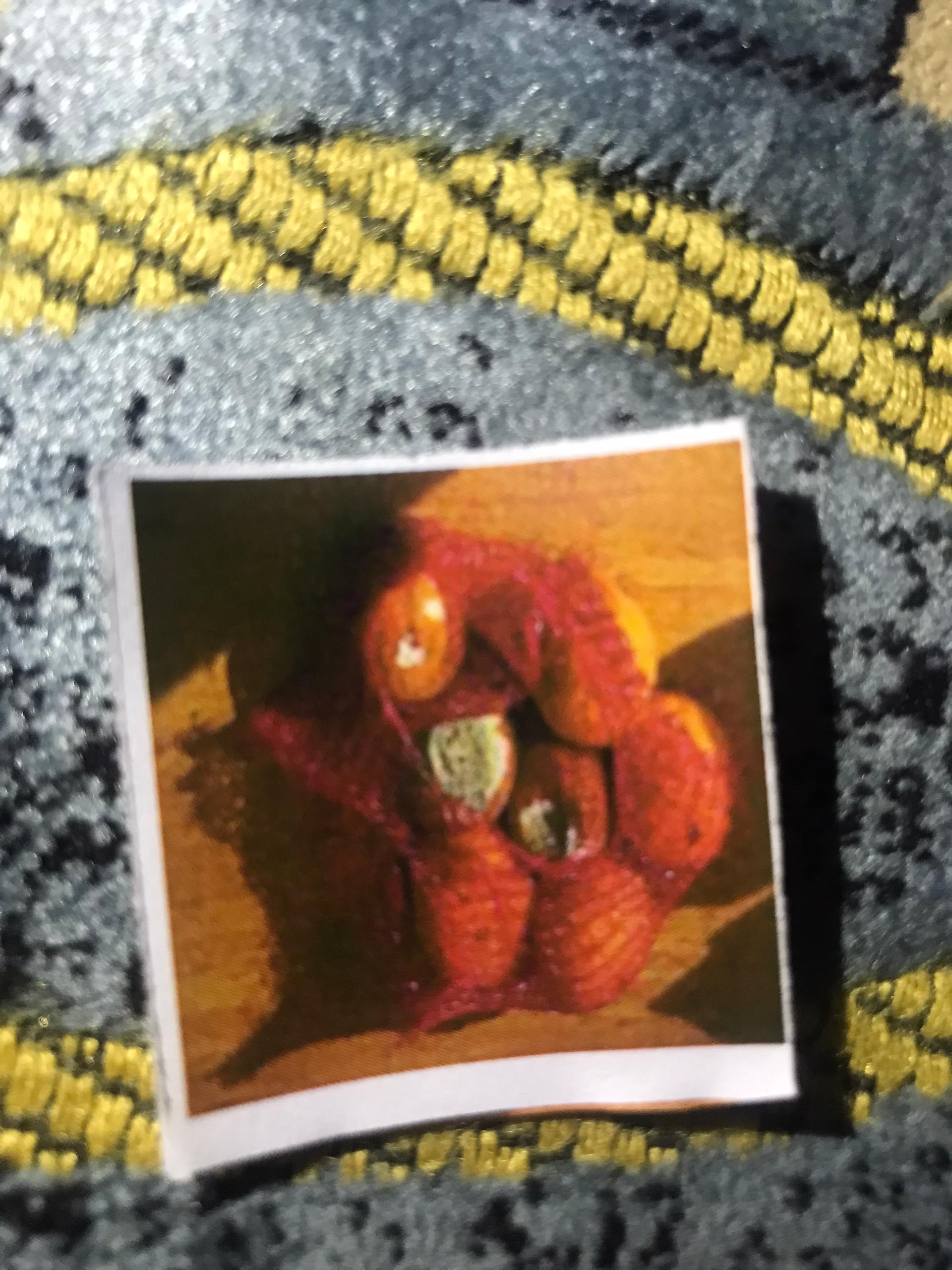 How to Use the garbage_track Object Detection API