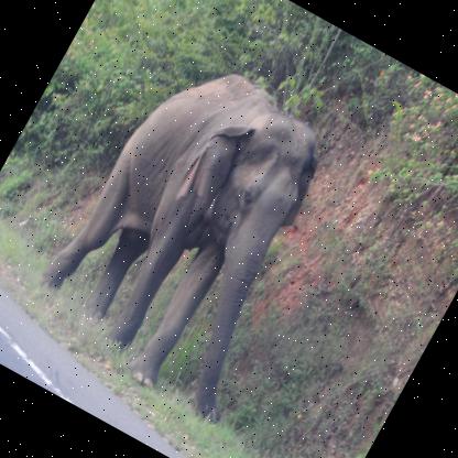animal_detection Object Detection Dataset by elephantdetection