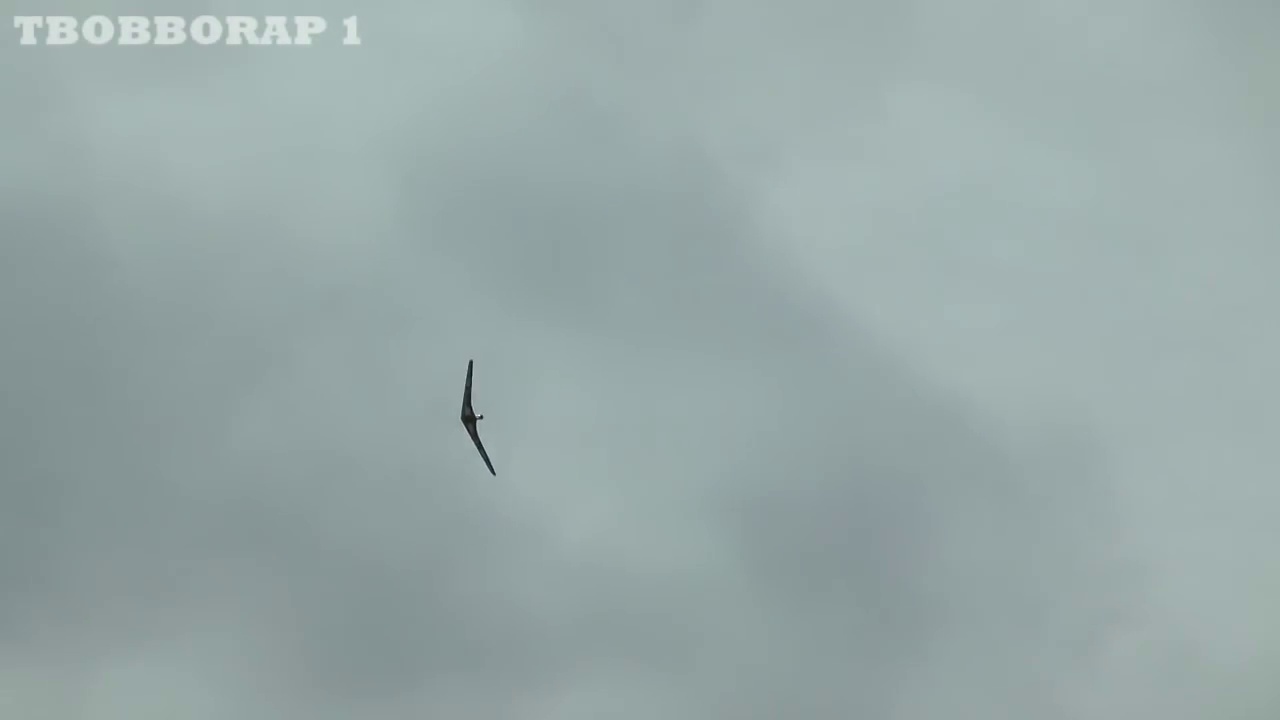 planes-detector Object Detection Dataset and Pre-Trained Model by TPU