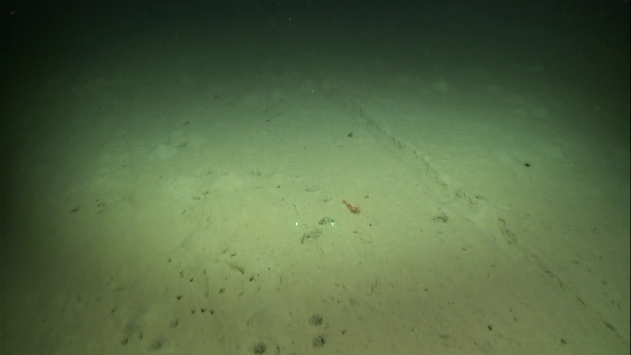 deep sea Object Detection Dataset by Fish OD