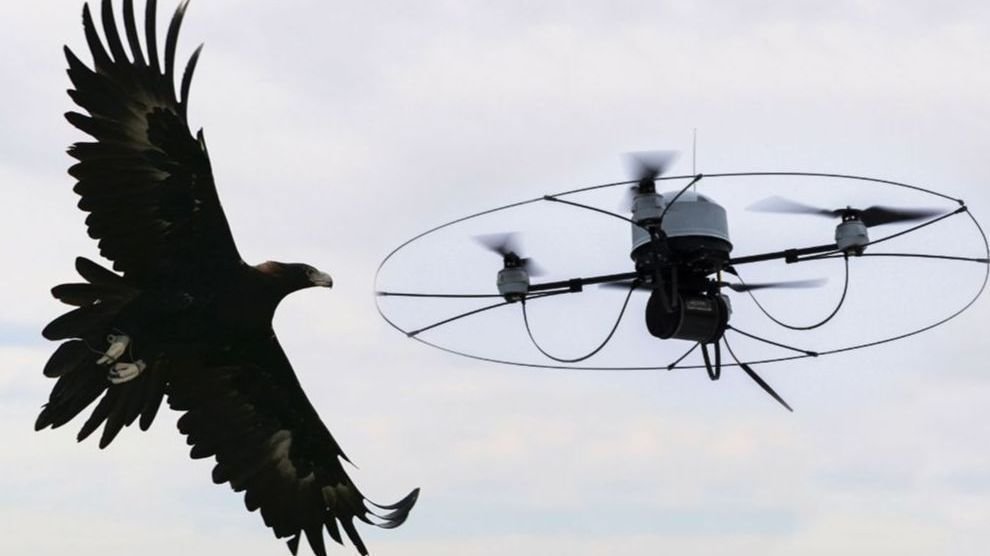 Drone YOLOv5 Object Detection Dataset and Pre-Trained Model by UAV ... Drone YOLOv5 Object Detection Dataset and Pre-Trained Model by UAV ...