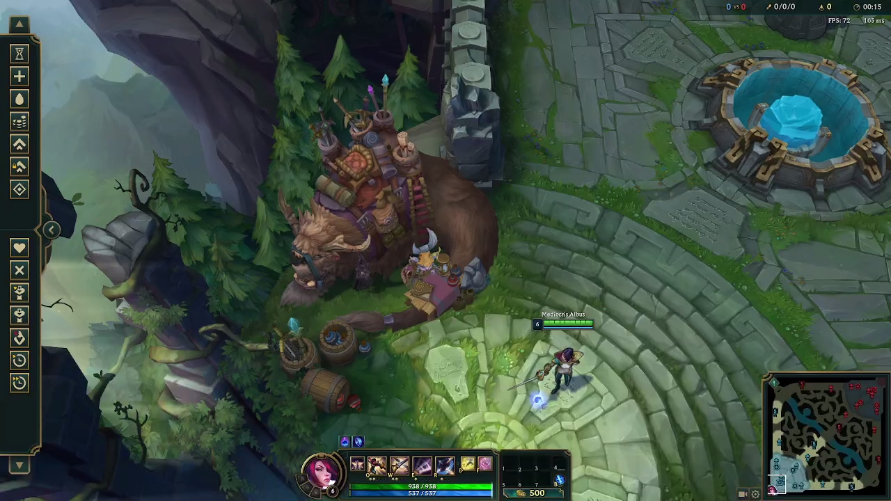 Fiora Object Detection Dataset by test