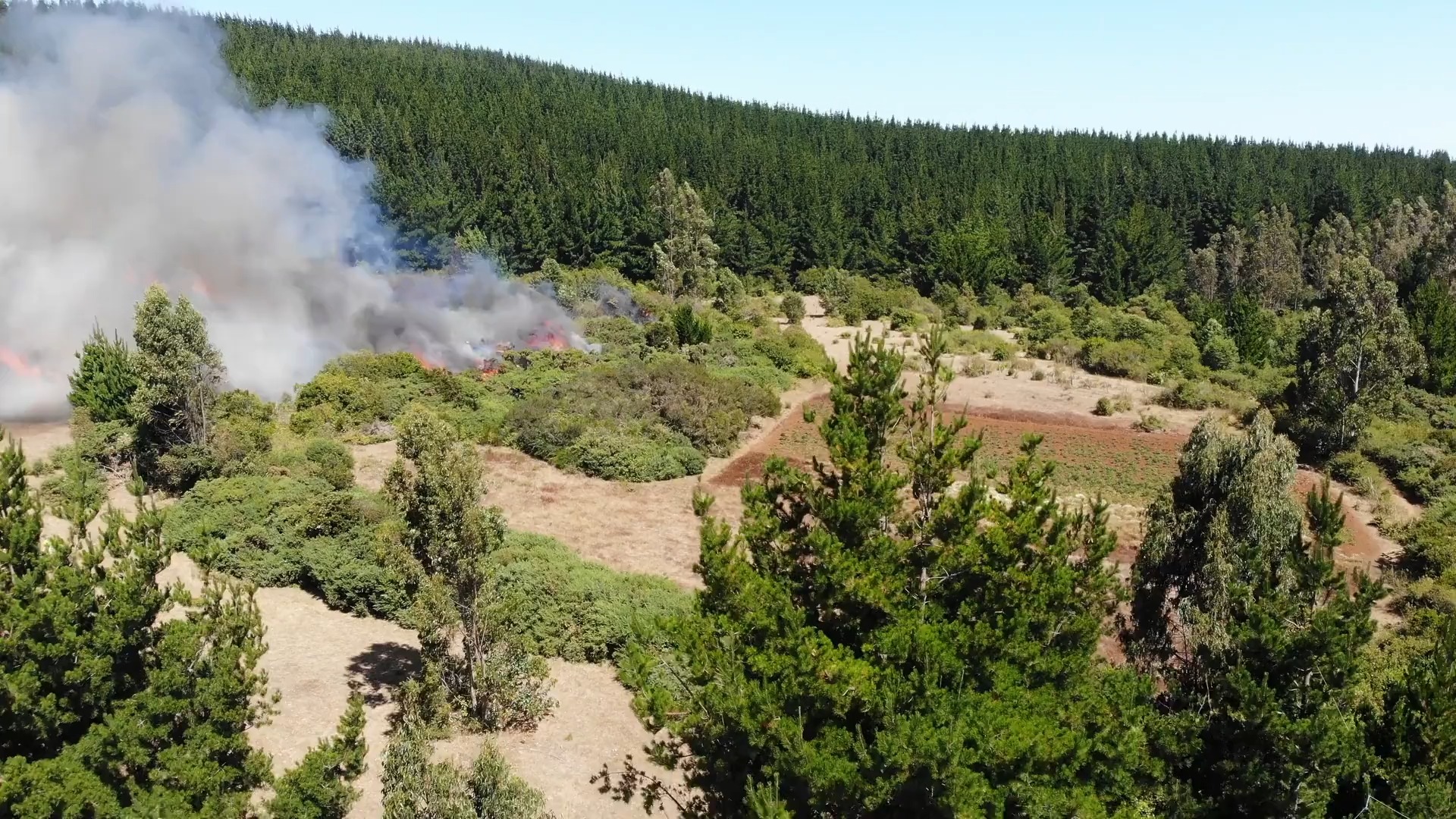 Forest Fire Detection Dataset Object Detection Dataset And Pre Trained