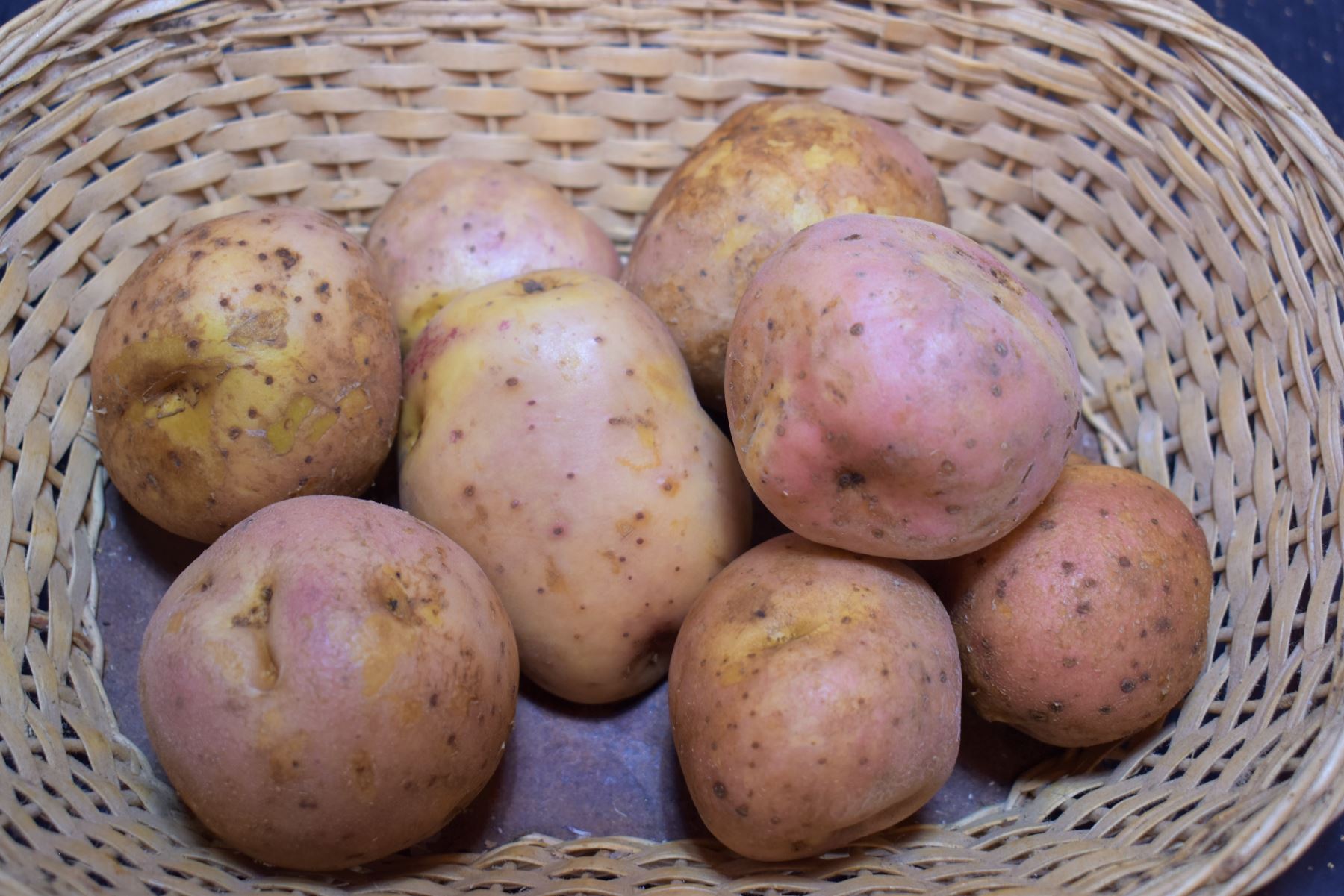 How to Use the s3_FinalProj Object Detection API