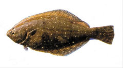 asdqw - Roboflow Universe