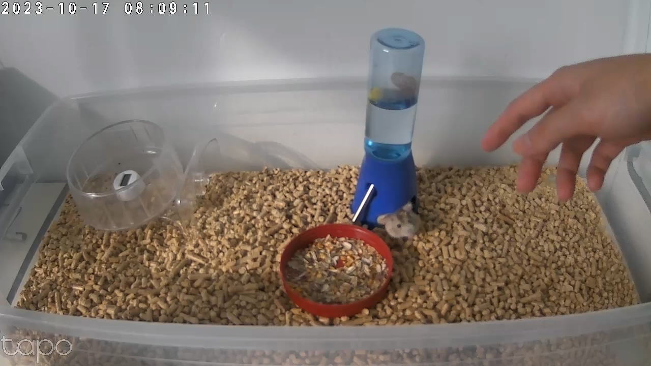 Mice Model2 Object Detection Dataset By Project Ioo6l