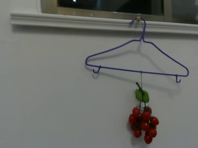 Yolov5 Object Detection Dataset By Zhang